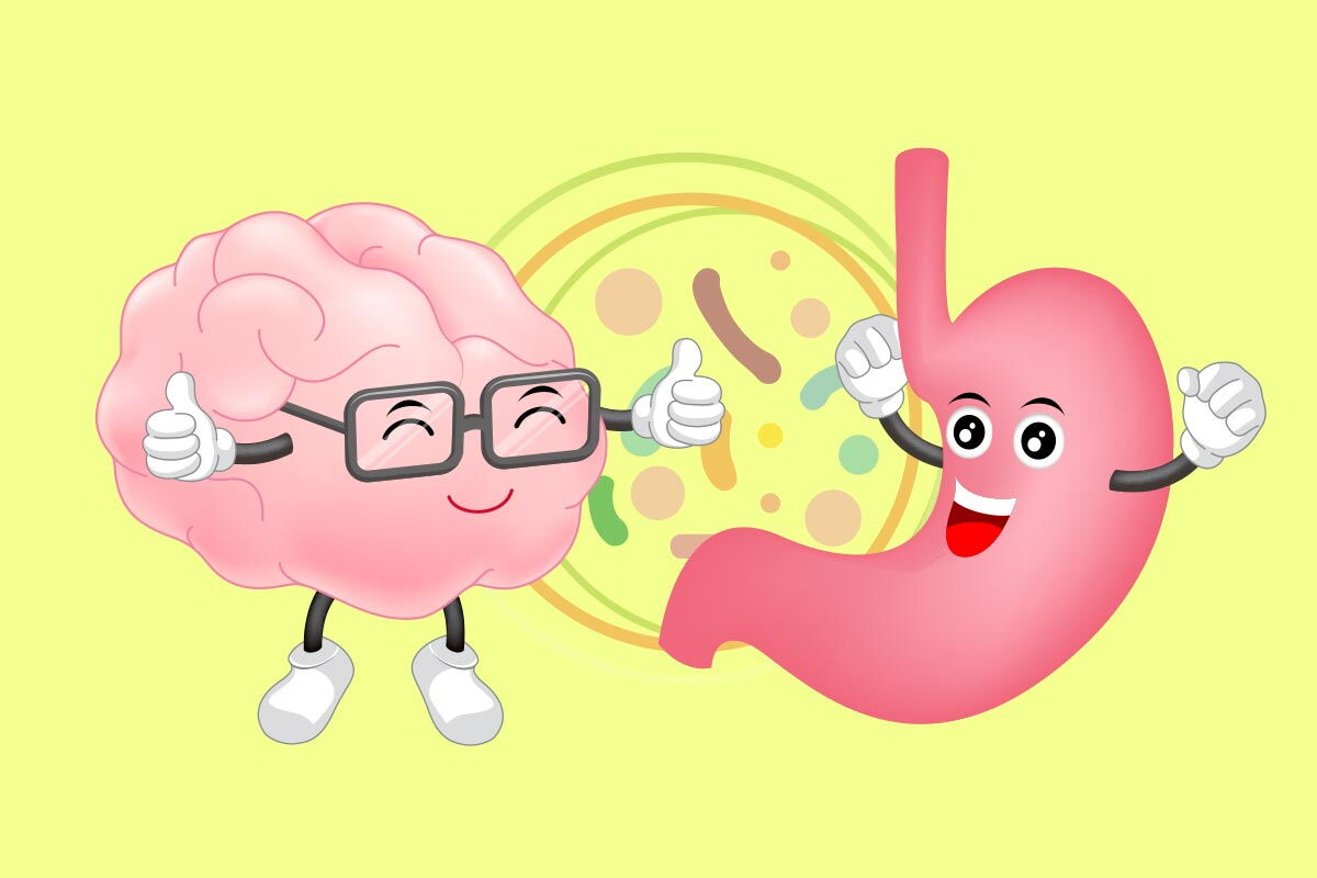 The Intelligent Stomach - Our Second Brain. - MyMicrobiome