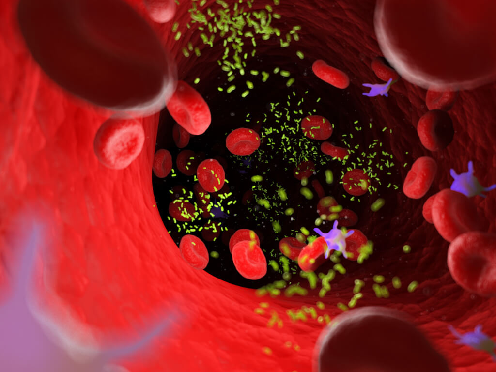 Blood type as key factor for microbiome composition - MyMicrobiome